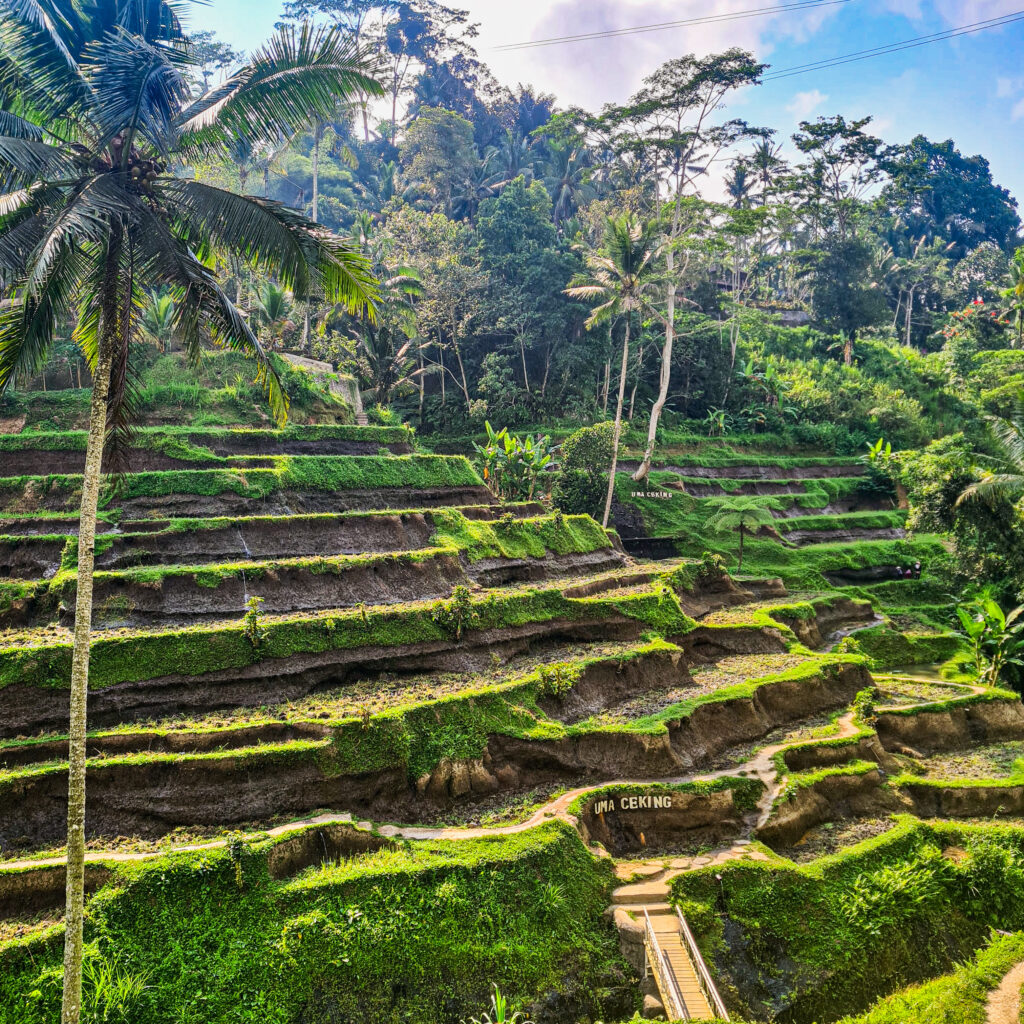 Sanctuary of Sunshine: 7 reasons to visit Bali - Tea Time Abroad